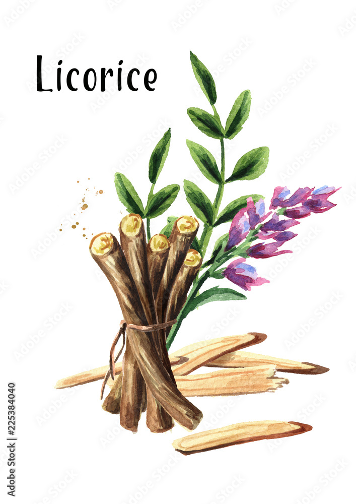Licorice flower, leaf and root vertical composition. Medical herbs and ...