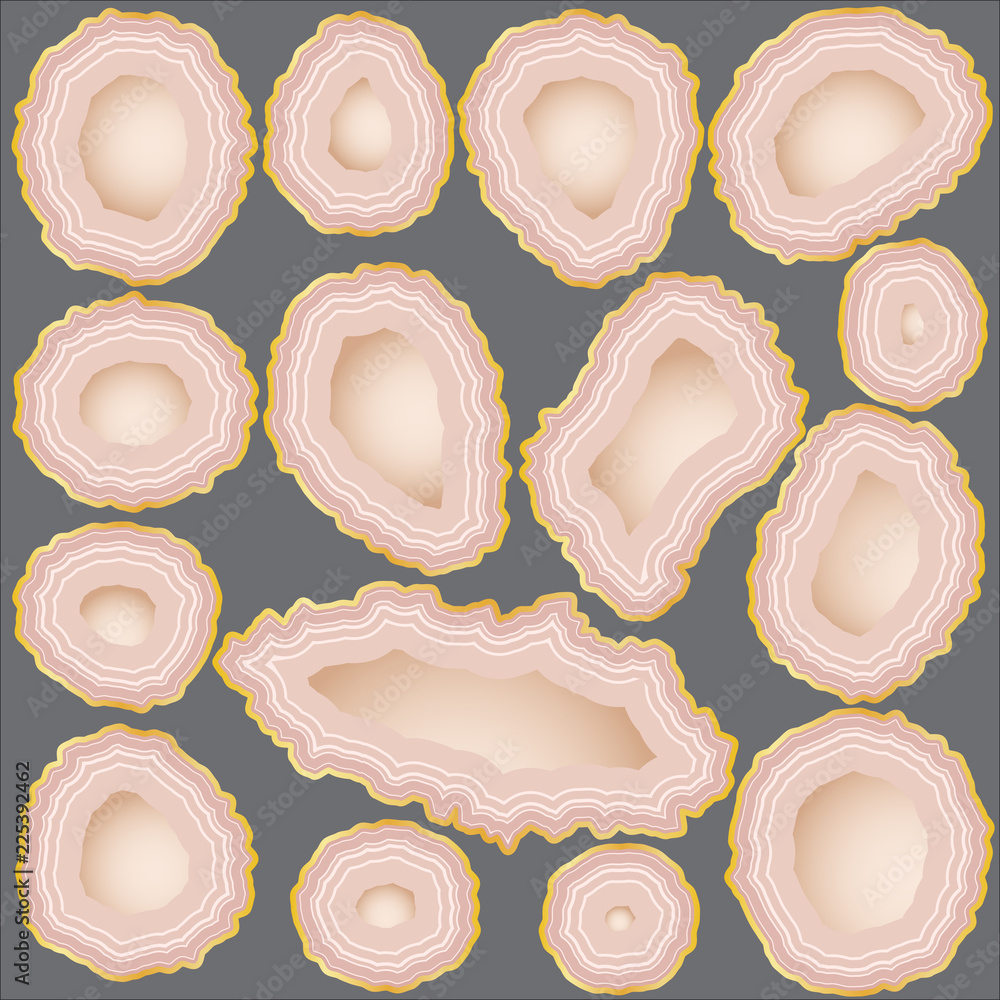 Vector Blush Pink Lace Agate Geode Slices with Gold Border. Rose Quartz ...