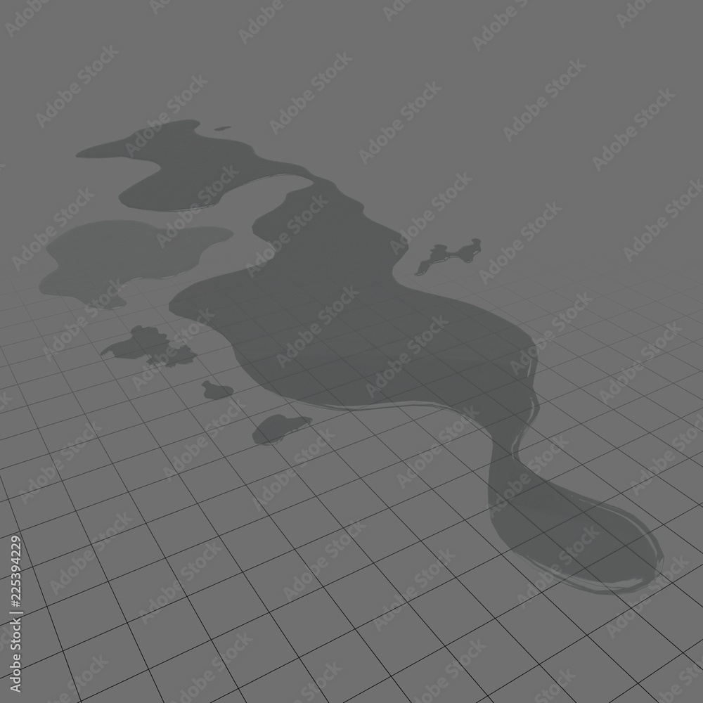 Water puddle 2 Stock 3D asset | Adobe Stock
