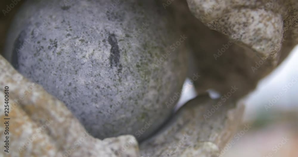 Dragon Stone. A perfectly round stone is pushed around inside of a ...