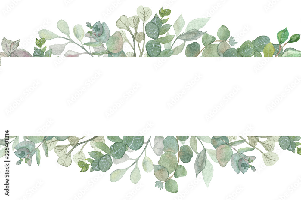 Watercolor hand painted lush banner with silver leaves and branches of ...