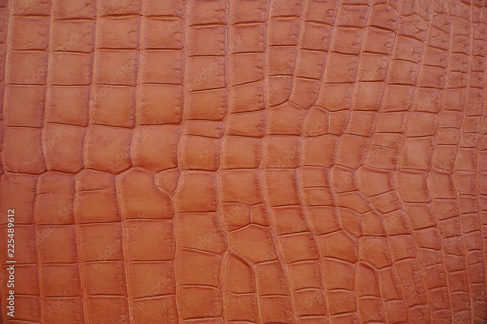Brown Alligator Skin Wallpaper