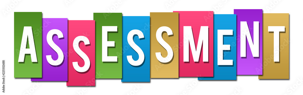 Assessment Professional Colorful Stock Illustration | Adobe Stock