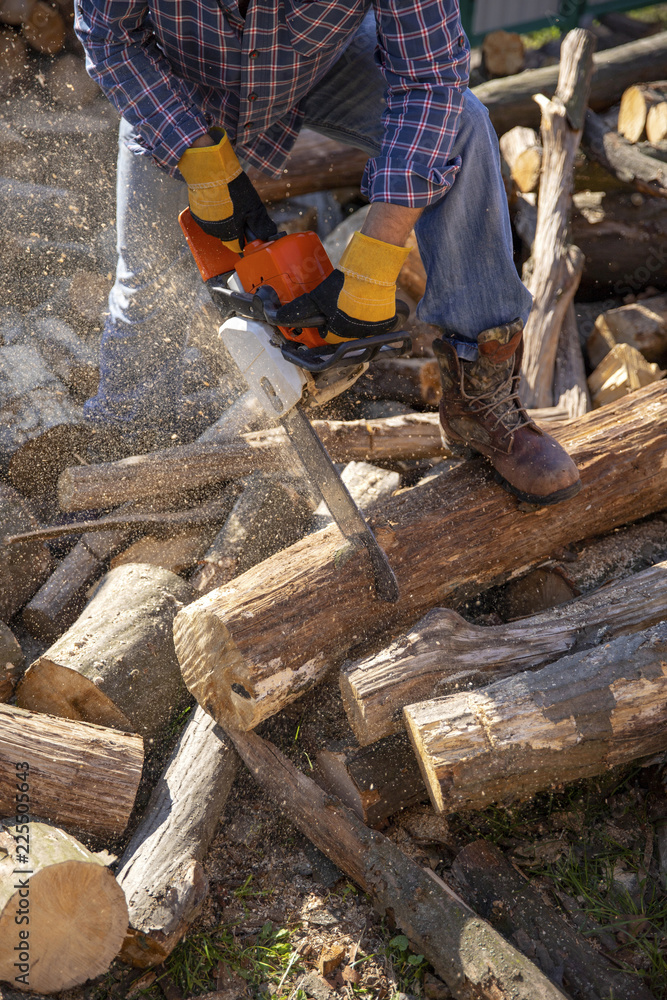 The worker works with a chainsaw. Chainsaw close up. Woodcutter saws ...