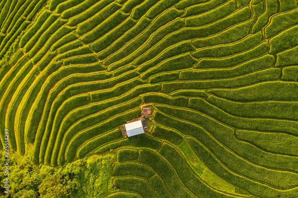 Small house and rice terraces field at pabongpaing village rice ...