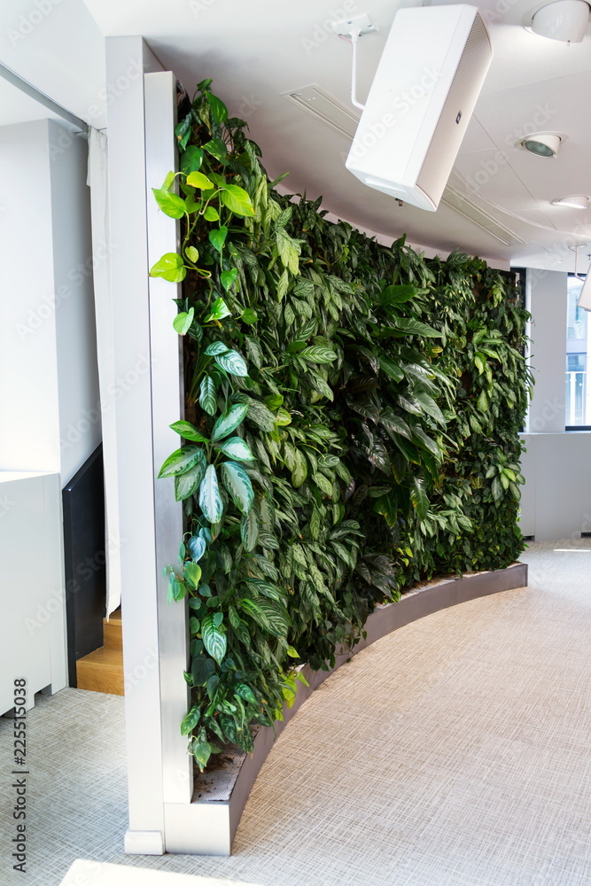 Living green wall, vertical garden indoors with flowers and plants ...