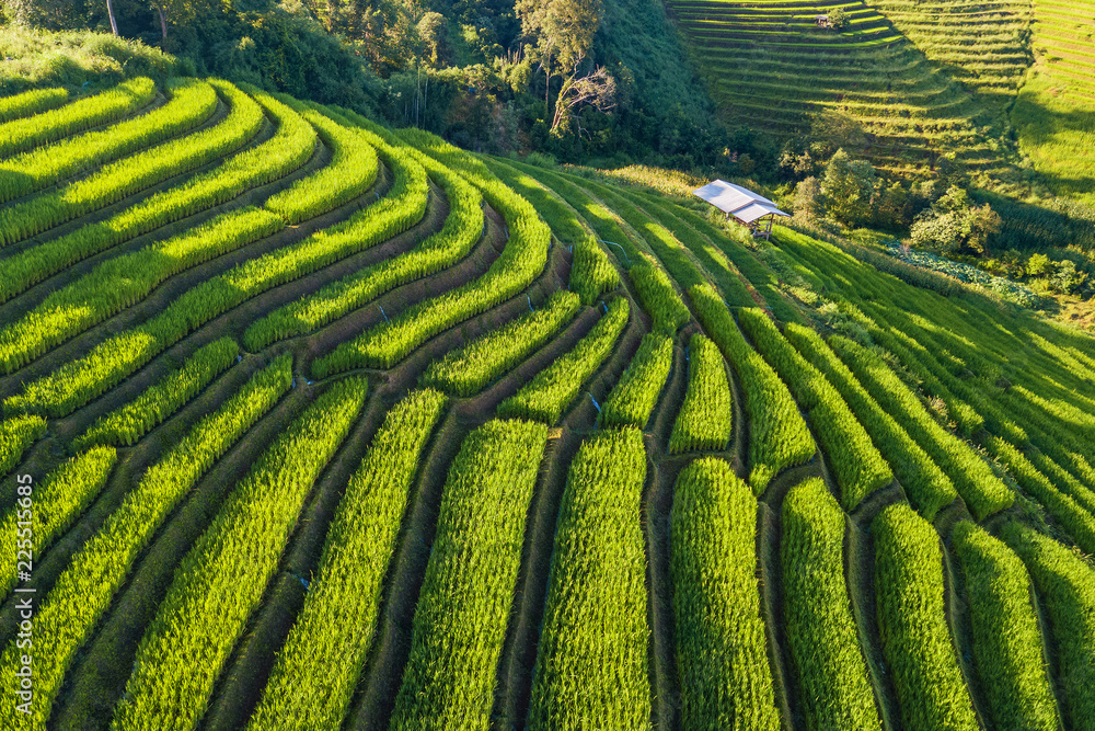 Small house and rice terraces field at pabongpaing village rice ...