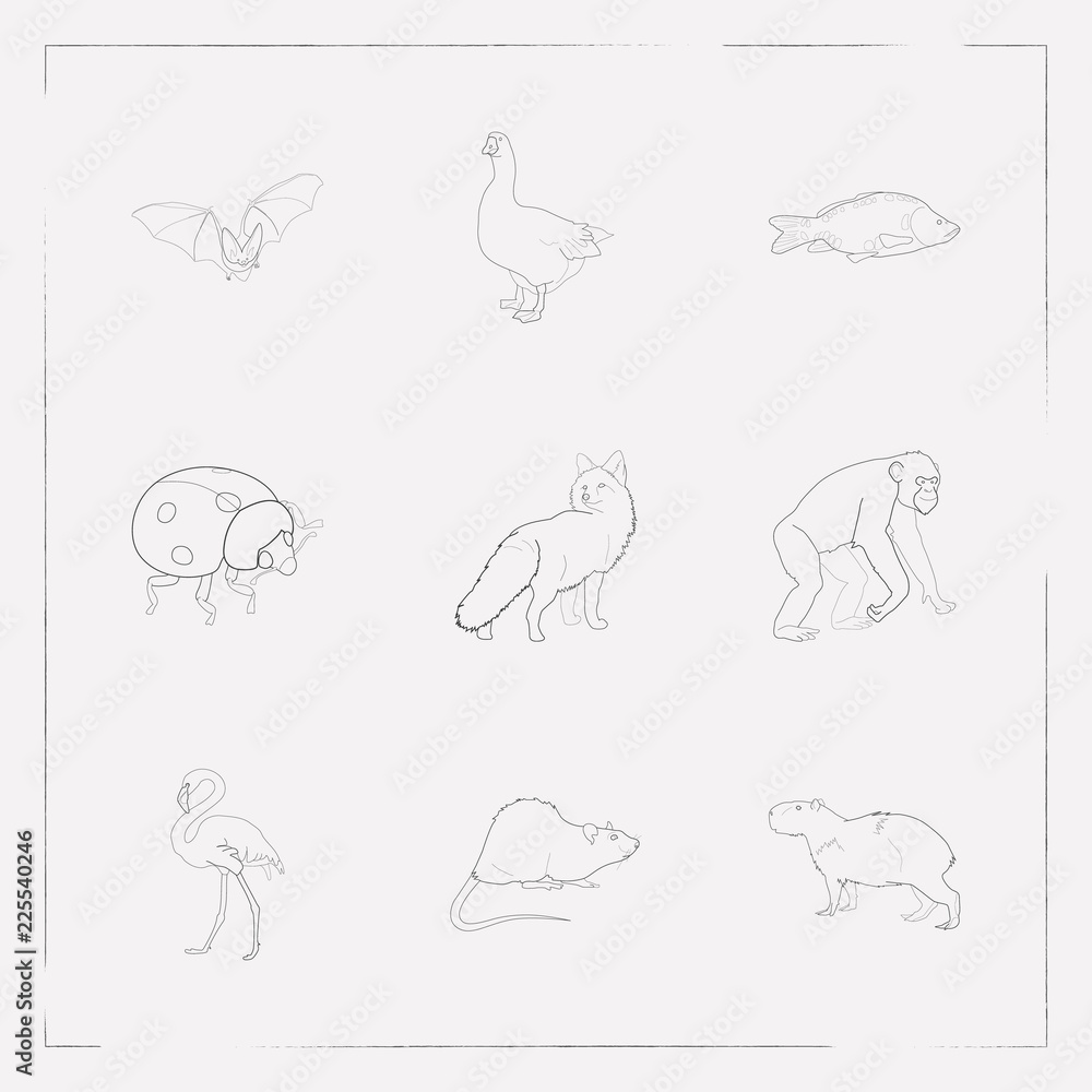 Set of animal icons line style symbols with rat, carp, bat and other ...