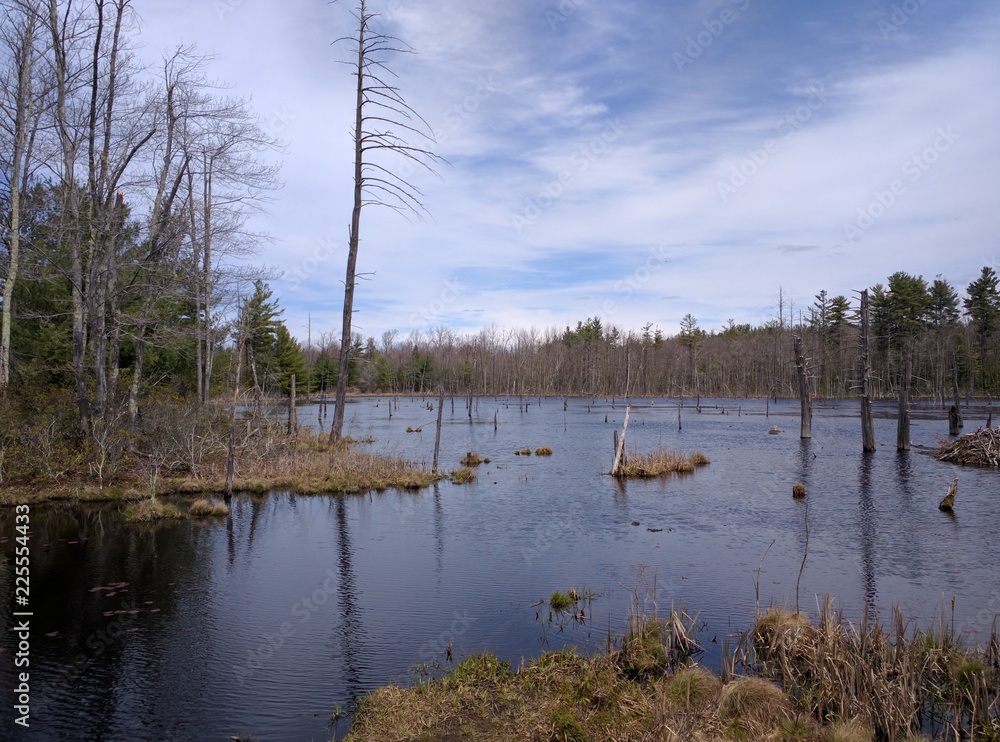 Monson Village Stock Photo | Adobe Stock