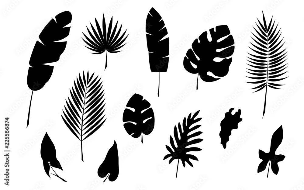 Tropical palm leaf silhouette vector Stock Vector | Adobe Stock Tropical palm leaf silhouette vector Stock Vector | Adobe Stock