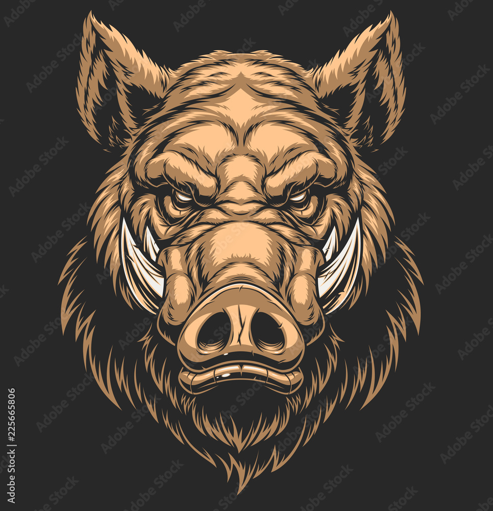 Head ferocious boar Stock Vector | Adobe Stock
