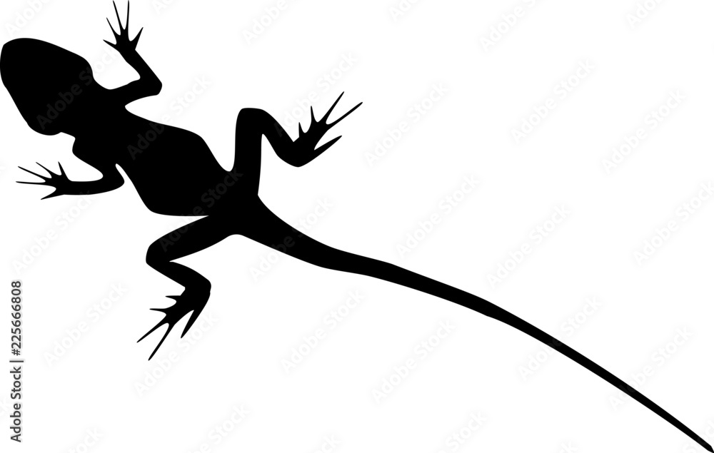 Lizard wild animal black silhouette isolated on white background ...