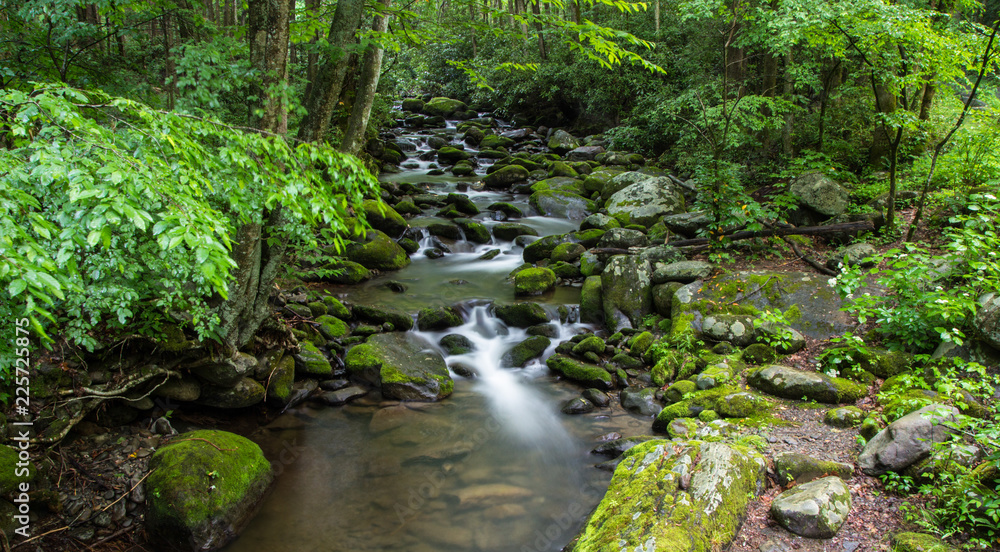 Peaceful Great Smoky Mountain Stream. Stream flows through the lush ...