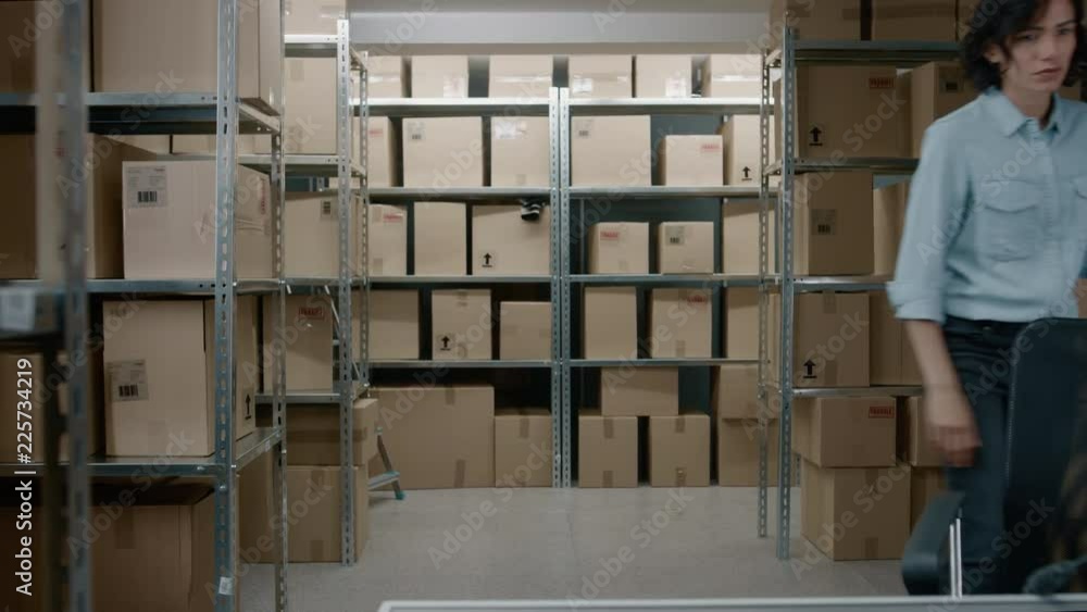 Inventory Management Team Works in a Warehouse Taking Stock, Checking ...