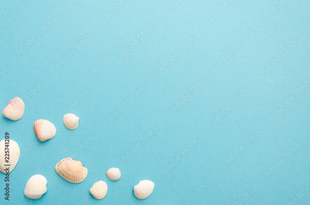 Some seashells in the left-down corner of a light-blue background Stock ...