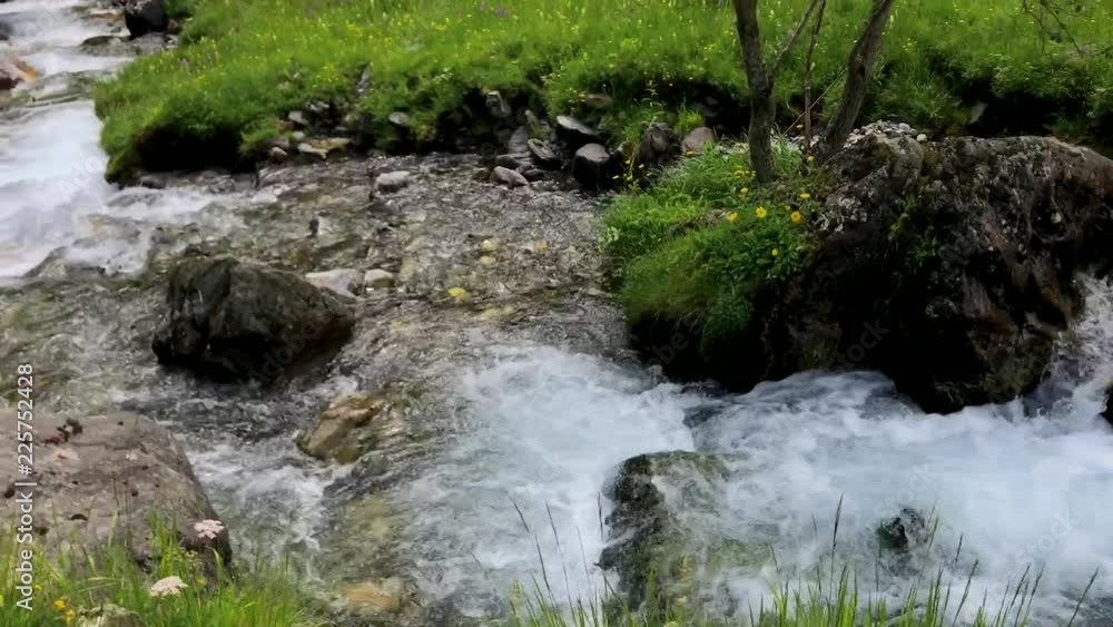 Wild stream in a summer day mountain scenery Stock Video | Adobe Stock