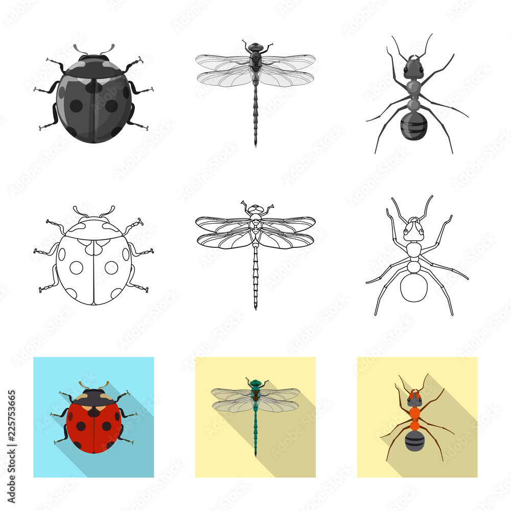 Vector illustration of insect and fly symbol. Set of insect and element ...