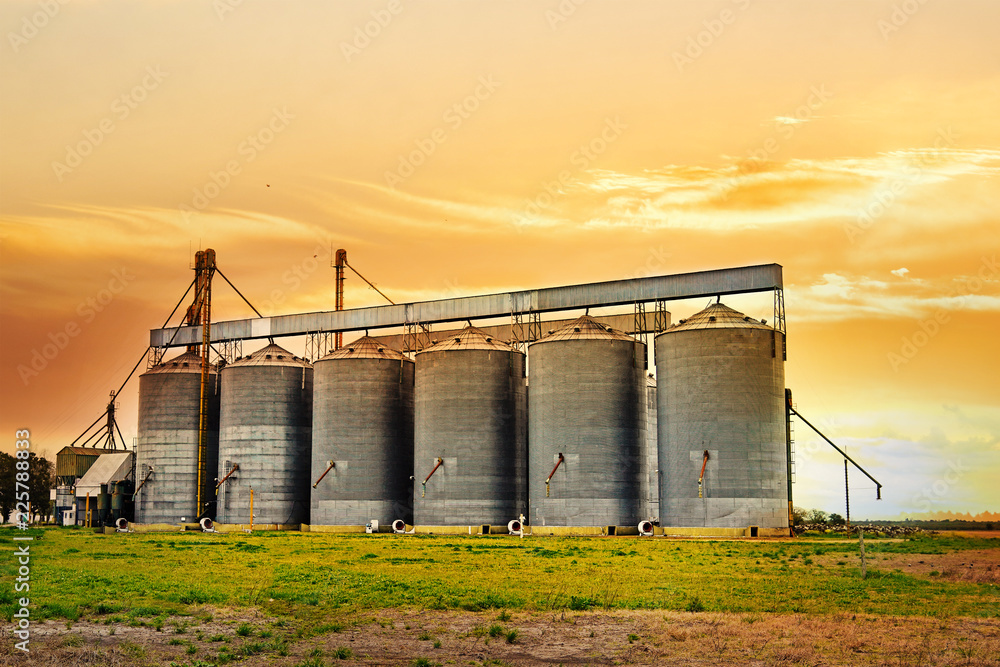 Agricultural Silos - Building Exterior, Storage and drying of grains ...