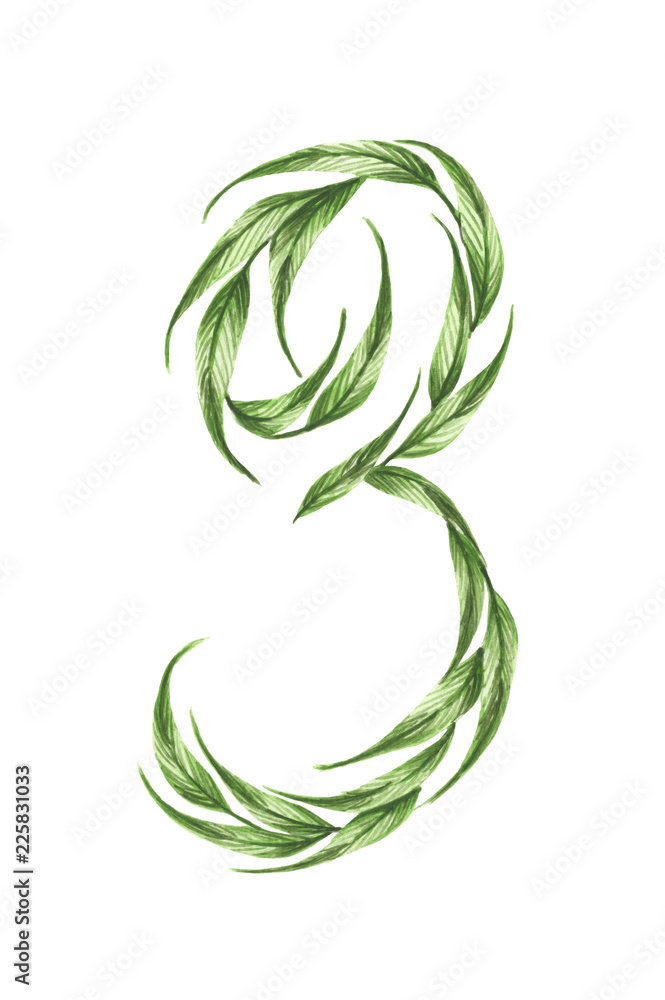 Number 3, alphabet of green leaves, Numbers from leaves isolated on ...