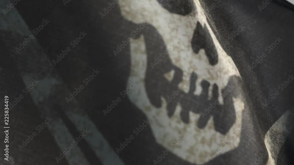 A regular jolly roger pirate flag with a skull and cutlasses on a black ...