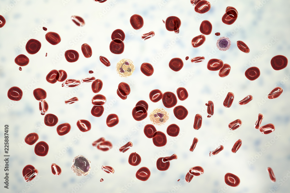 Normal blood smear, 3D illustration showing red blood cells, platelets ...