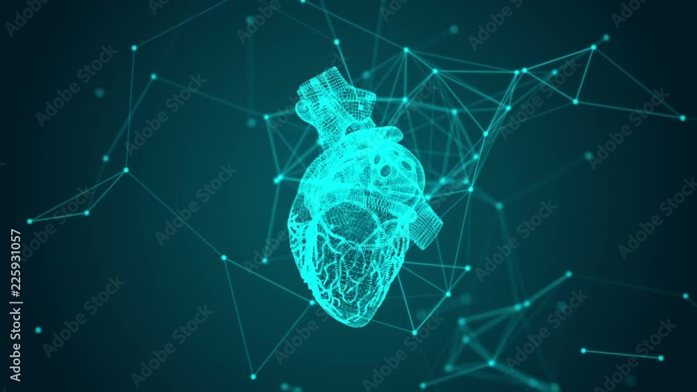 Virtual image of human heart. Modern methods of diagnostics of the ...