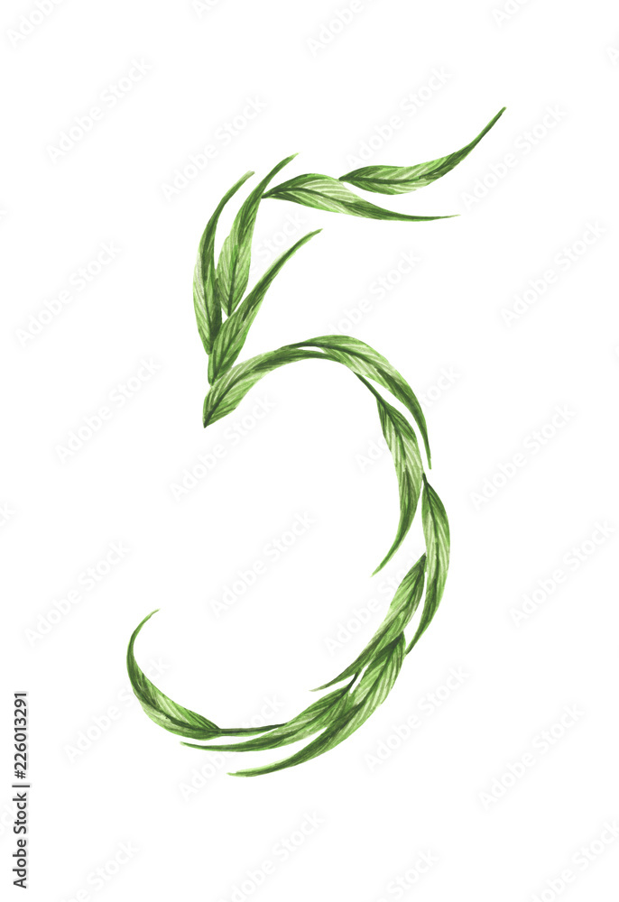 Number 5, alphabet of green leaves, Numbers from leaves isolated on ...