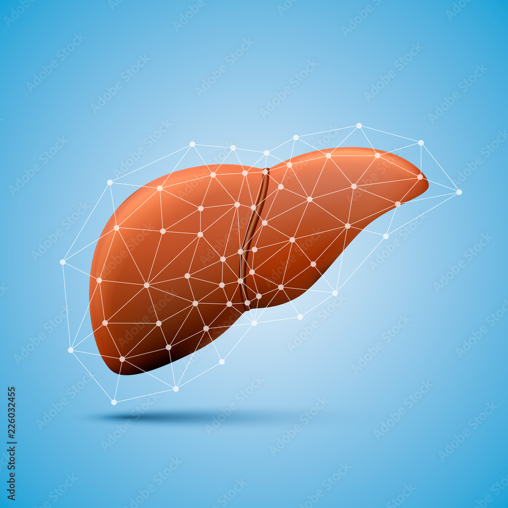 liver sign medical object art. Vector Illustration Stock Vector | Adobe ...