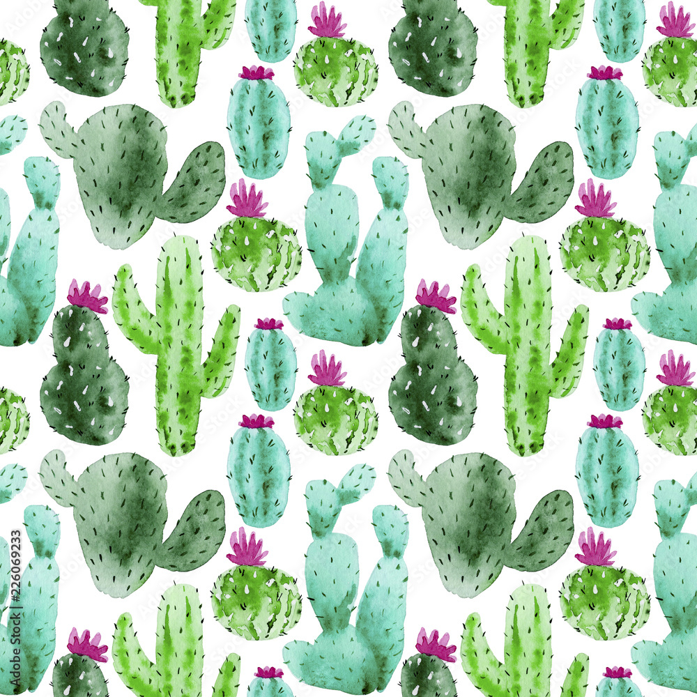 Pattern of watercolor cactus, succulent, isolated illustration on white ...