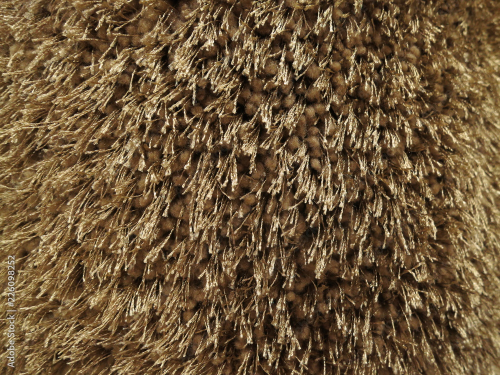 Fibrous structure Stock Photo | Adobe Stock