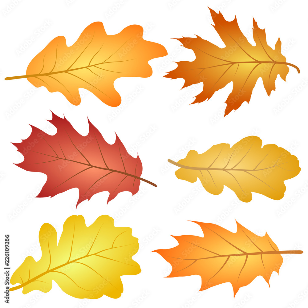 September Leaves Clipart