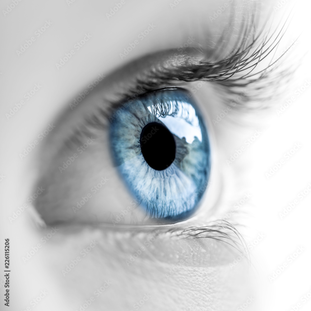 Blue Eye Stock Photo | Adobe Stock