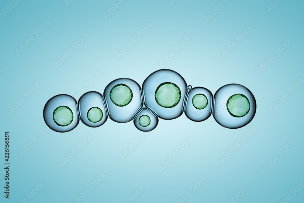 Cells division process, Cell divides into two cells Stock Photo | Adobe ...