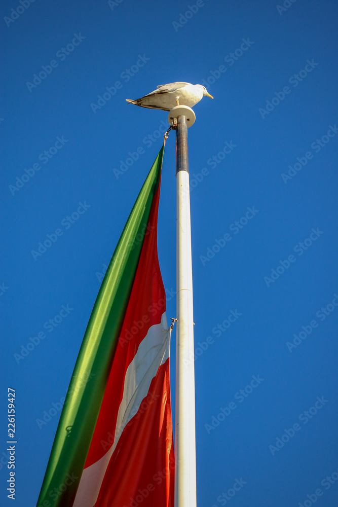 La bandera de Euskadi (Pais Vasco), comunidad autonoma de España es la ...
