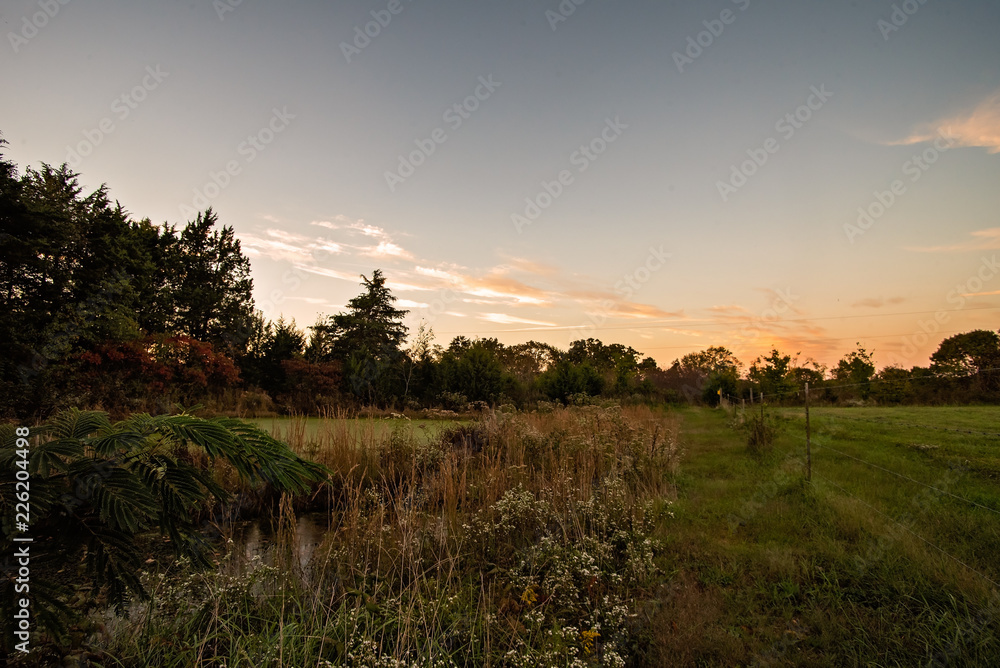 Open Field At Sunset