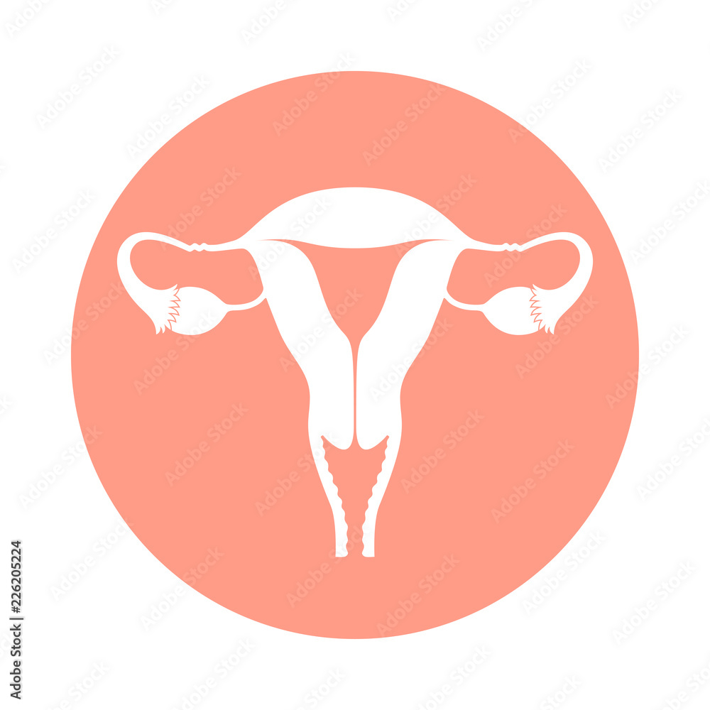 Icon Female Reproductive Organs Uterus Sign In Rose Circle Isolated On