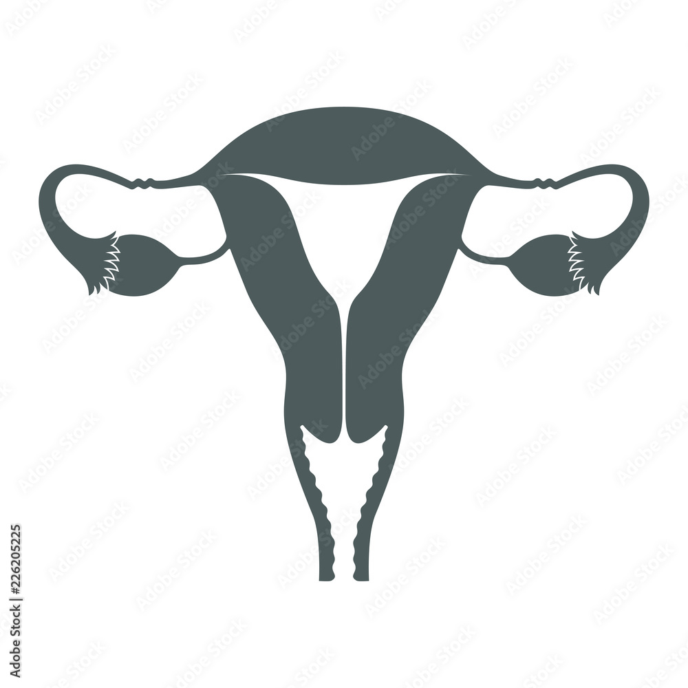 Icon Female Reproductive Organs Gray Sign Uterus Isolated On White