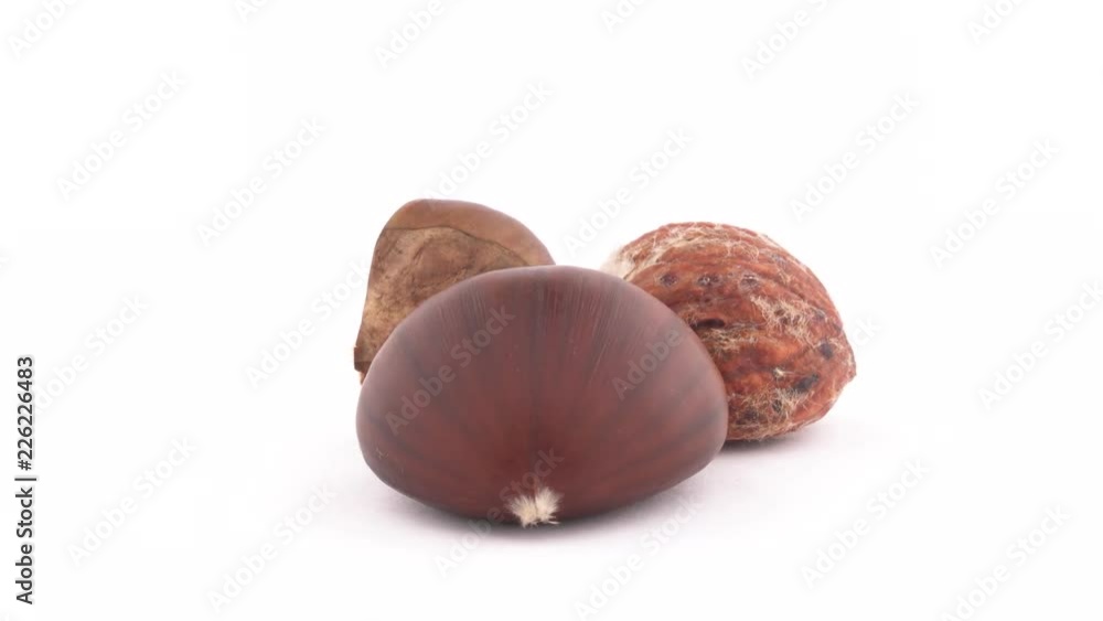 One whole, one peeled and one half cut sweet chestnuts. Cross section ...