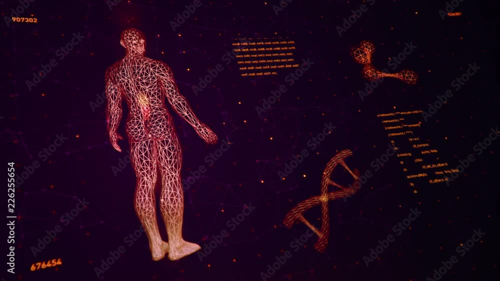 Background with animation of abstract interface. Human body, head ...