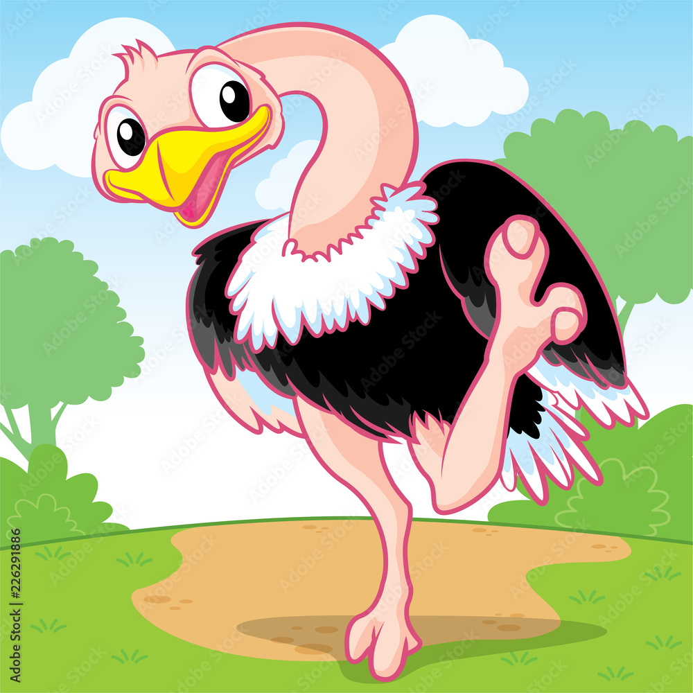 Ostrich Cartoon Images