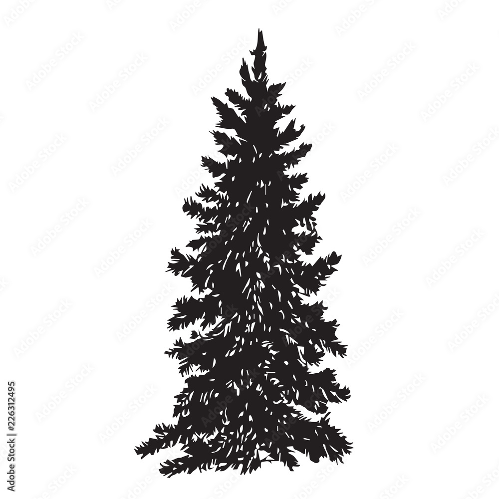 Pine tree silhouette, hand drawn doodle sketch, black and white vector ...