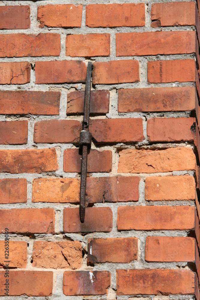 Maueranker in Backsteingebäude Stock Photo | Adobe Stock