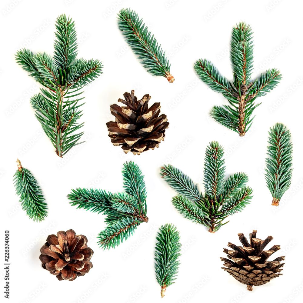 Set of fir branches and pine cones isolated on white background ...