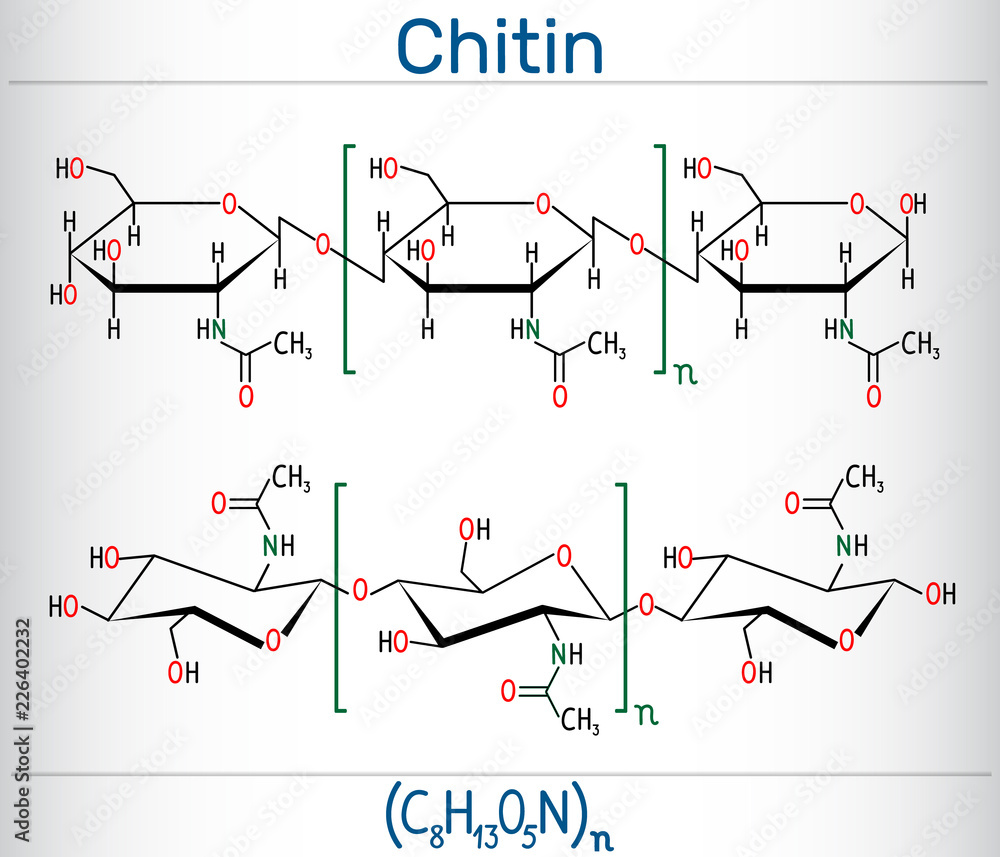 Chitin molecule. It is natural compound from the group of nitrogen ...