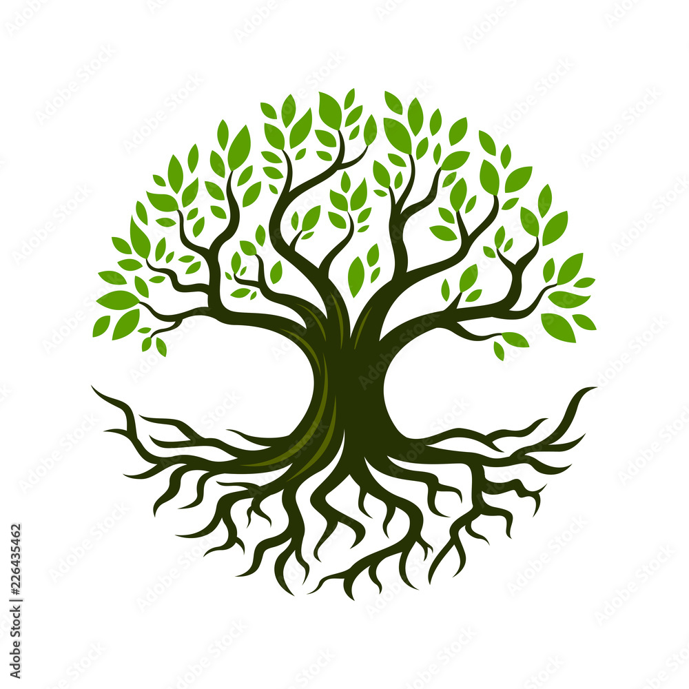 Tree root design illustration Stock Vector | Adobe Stock