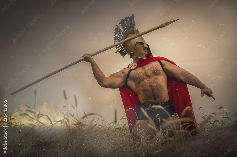 Spartan Warriors Fighting