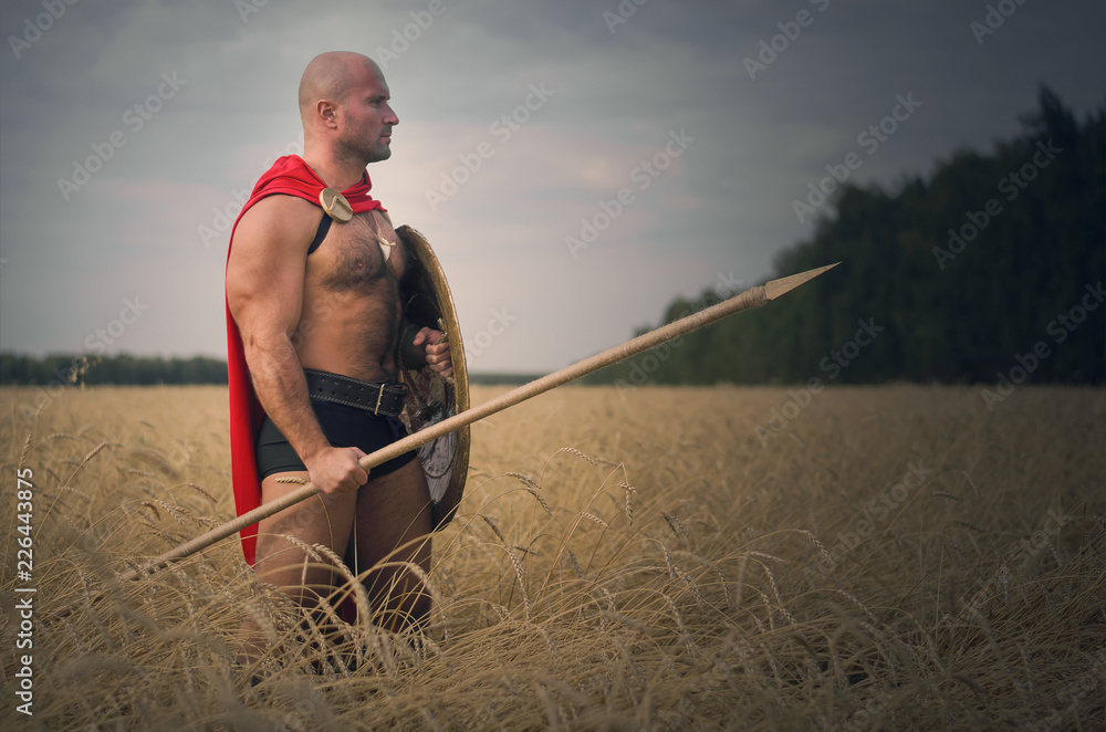 Spartan ancient warrior in the helm holding a spear in hand wearing in ...