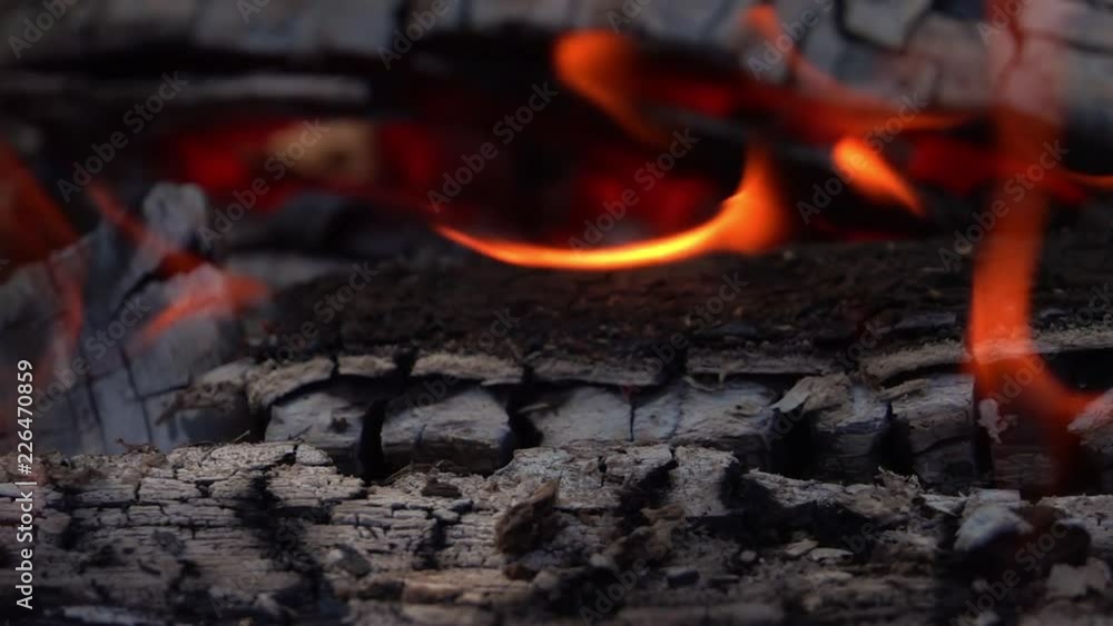 Super close up shot of burning flame on firewoods in extreme slow ...