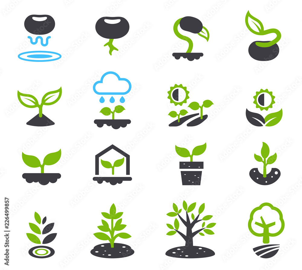 Evolution of seeds to a big trees(icon concept). Environment that ...