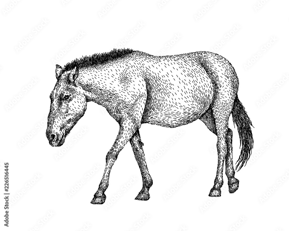 Simple Realism Art Black And White